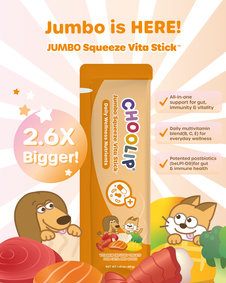 Premium Vitamin-Infused Cat Treats and Dog Treats – Choolip