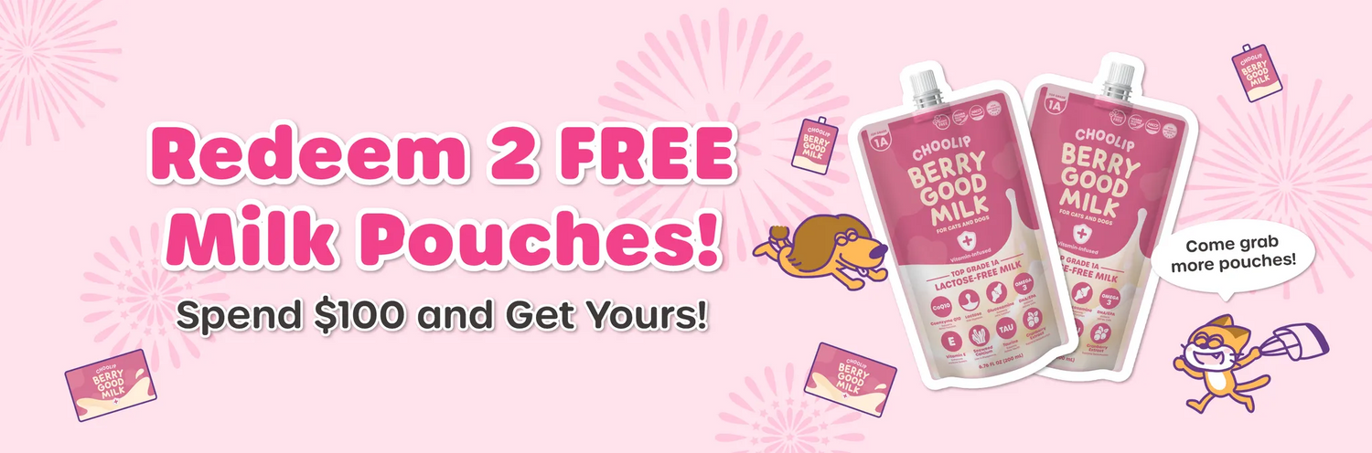 Premium Vitamin-Infused Cat Treats and Dog Treats – Choolip