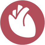 Premium Vitamin-Infused Cat Treats and Dog Treats – Choolip