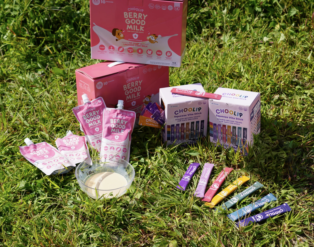 Premium Vitamin-Infused Cat Treats and Dog Treats – Choolip