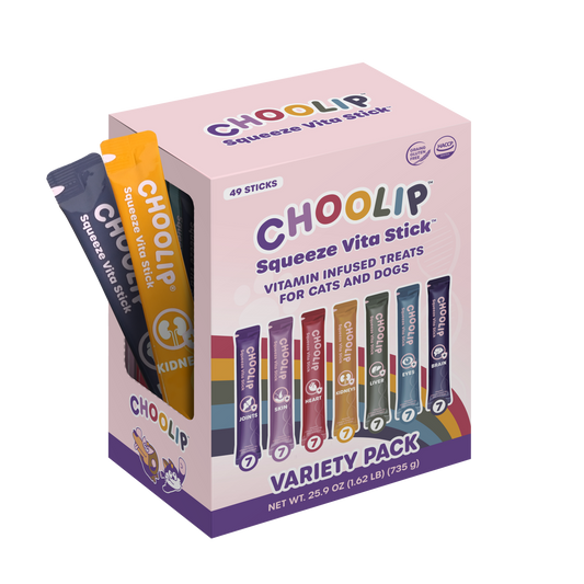 Squeeze Vita Stick Grab & Go Box (49 Sticks) – Choolip