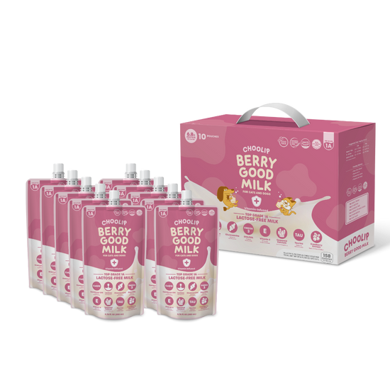 Berry Good Milk 10 Pouches – Choolip